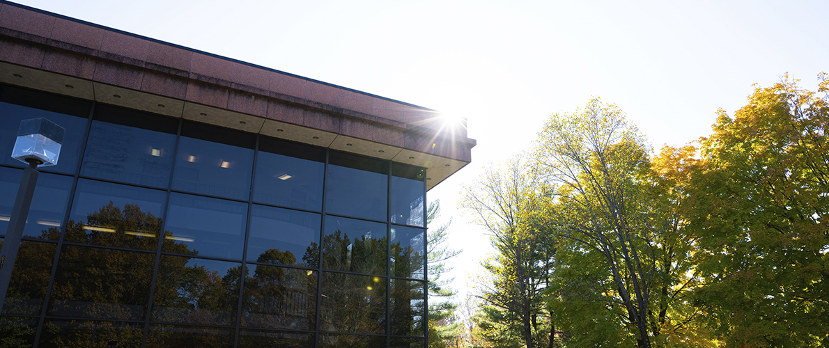 SIU Foundation Home Page